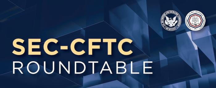 SEC.gov | SEC-CFTC Joint Roundtable on Regulatory Harmonization Efforts